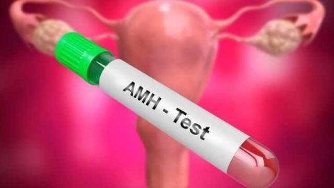 Low AMH Fertility/IVF Treatment Clinic | Dr Jay Mehta, Mumbai