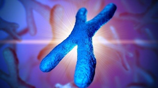 Chromosonal disorders : Causes, Symptoms and Risks | Shree IVF Clinic